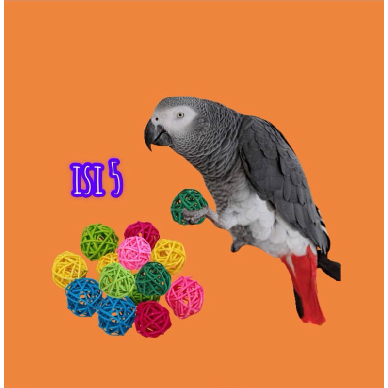 Jual Parrot Toys Mainan Bola Rotan Burung Conure Falk African Grey ...