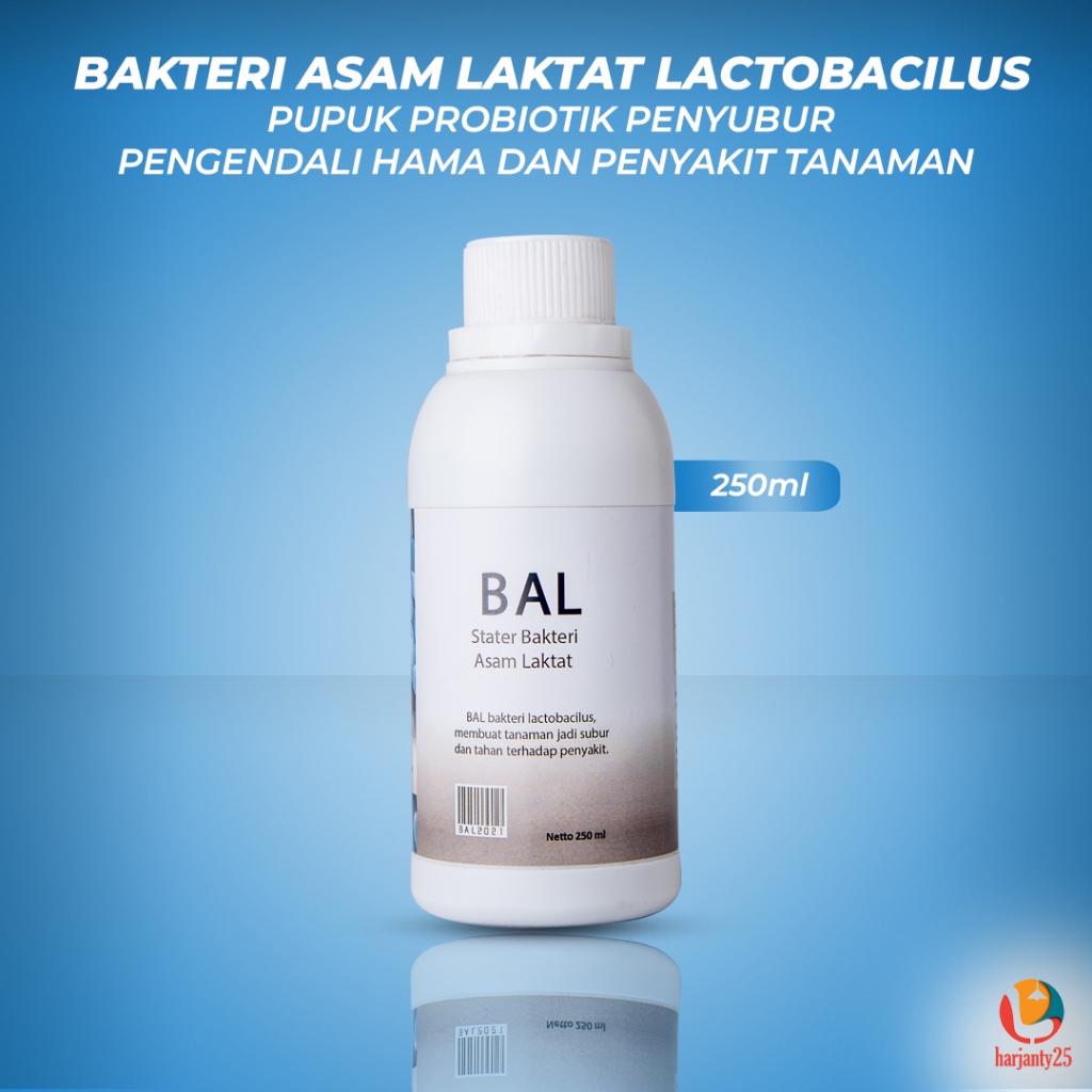 Jual BAL ( Bakteri Asam Laktat ) Lactobacilus Pupuk Probiotik Penyubur Pengendali Hama dan ...