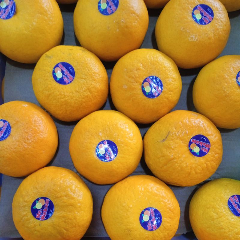 Jual Jeruk Wokam RRC /Manis /Harga Box (8,5Kg) | Shopee Indonesia