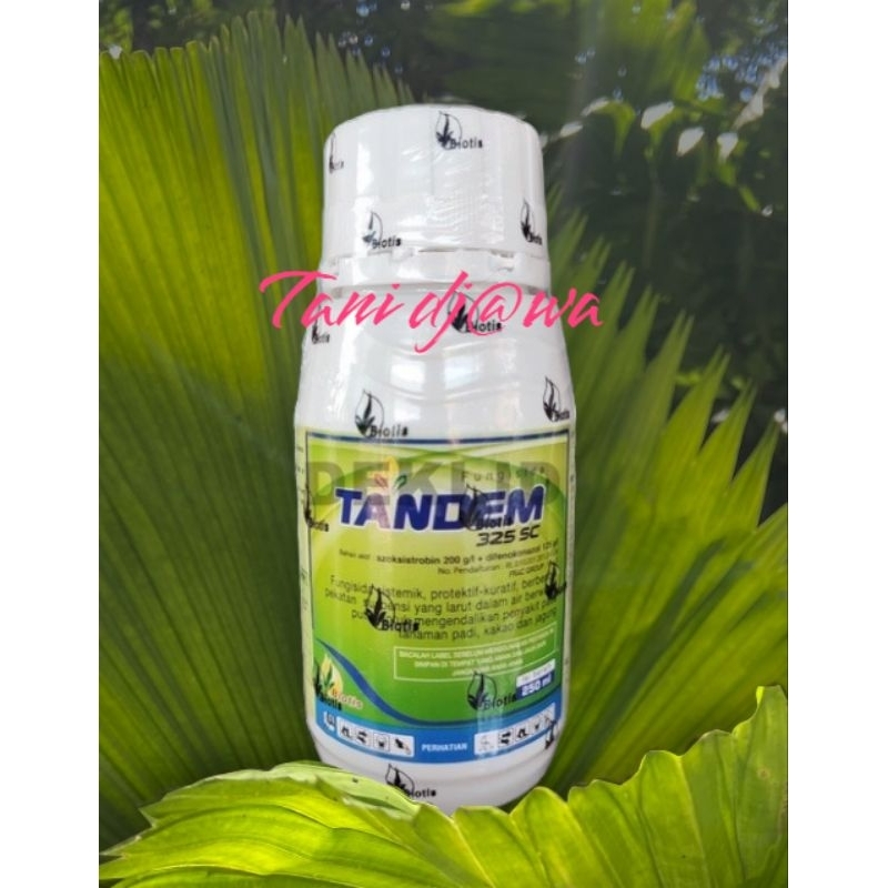 Jual FUNGISIDA - TANDEM 250 ml | Shopee Indonesia