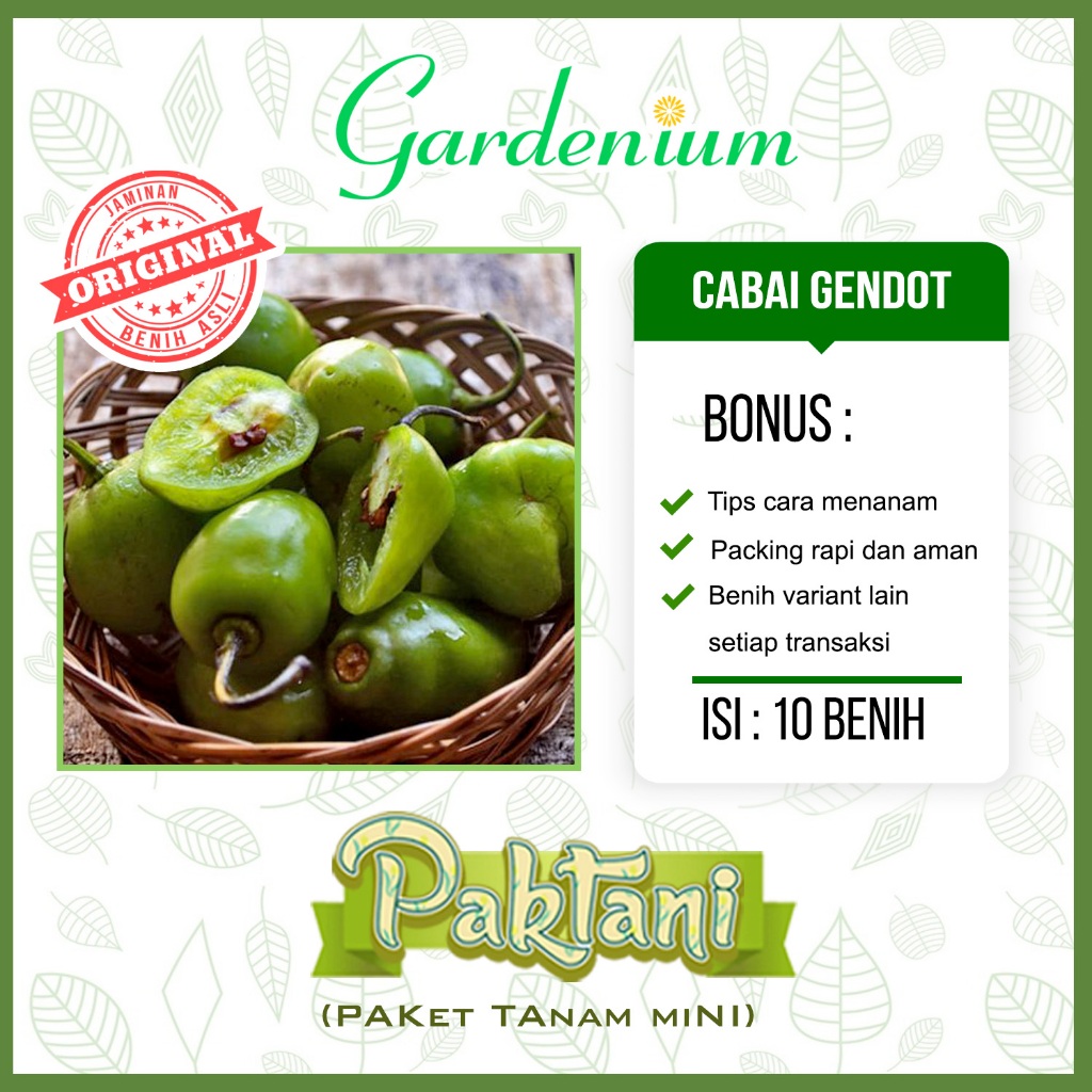 Jual 10 Benih Cabai Gendot Cabe Gendhot Gendol Bendol Unggul Paktani ...