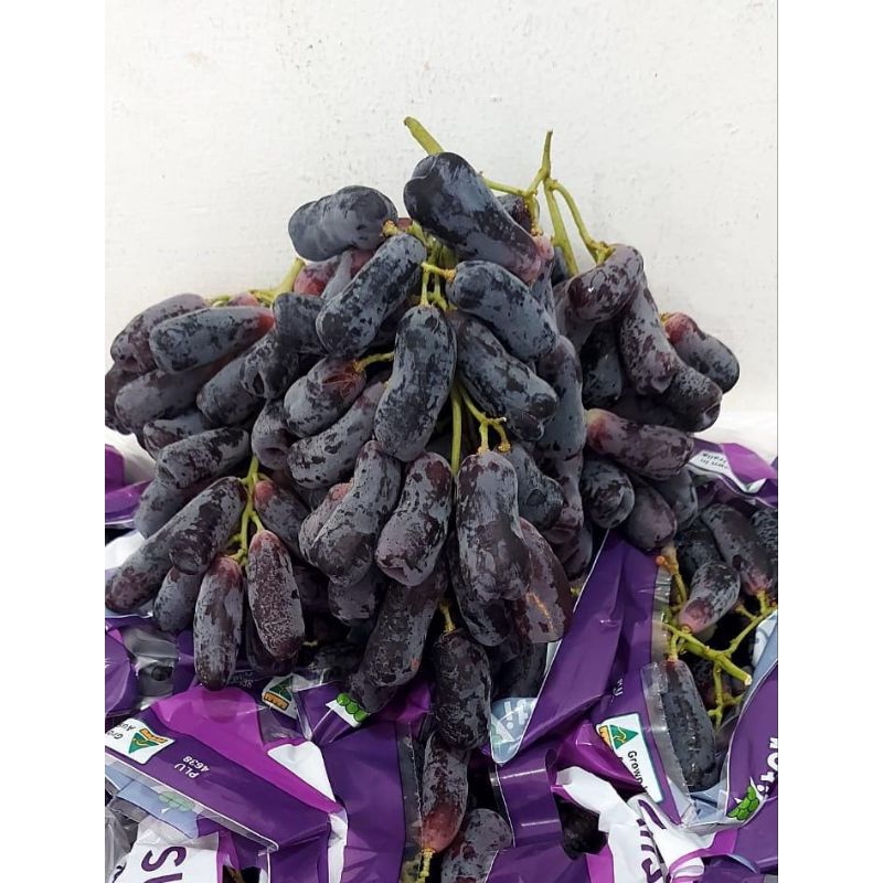 Jual Buah Anggur Sweet Sapphire / Anggur Jari Manis Seedless Premium ...