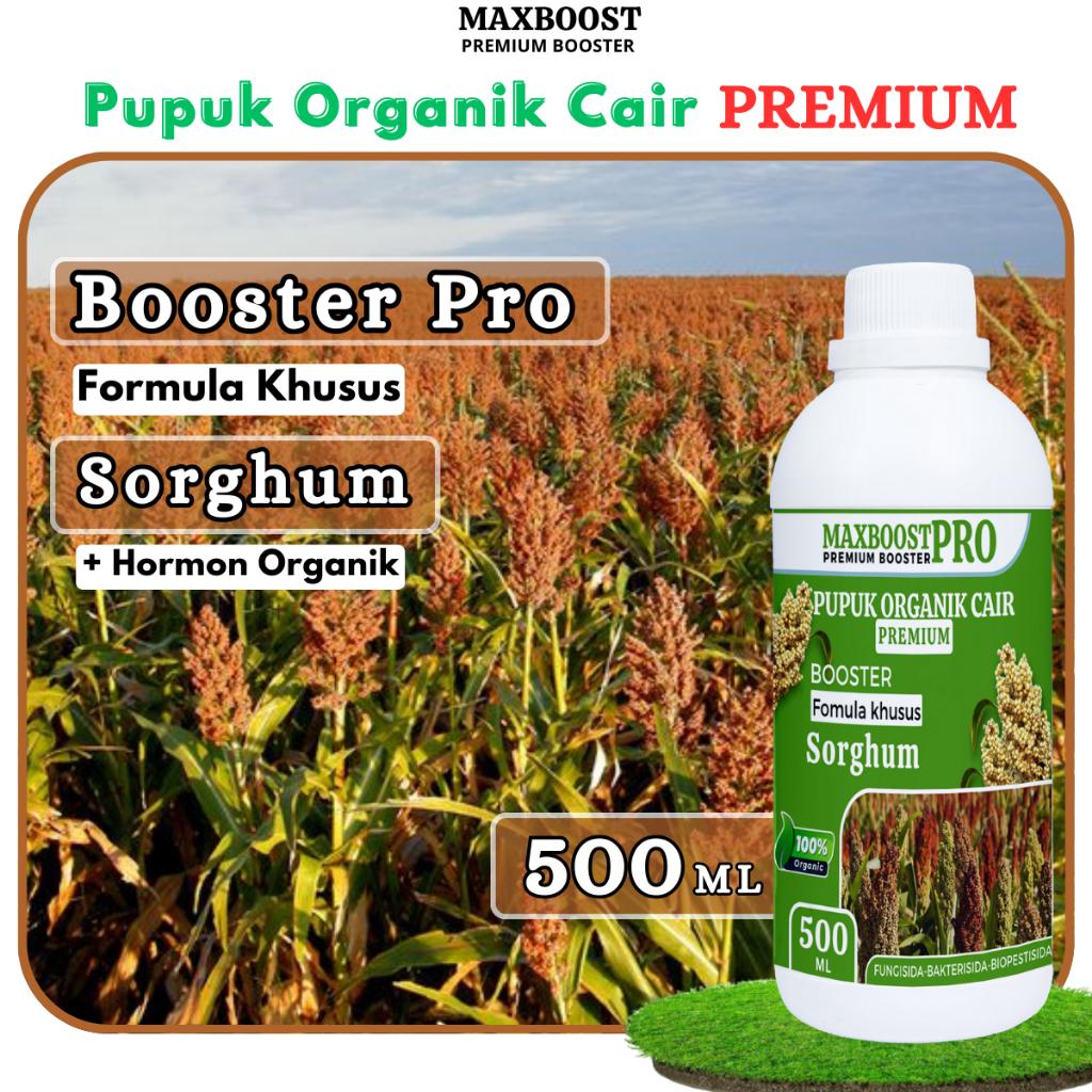 Jual poc booster tanaman sorgum, pupuk organik cair khusus untuk ...