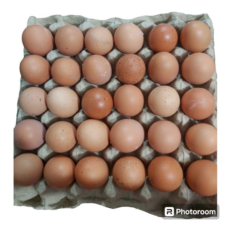 Jual Telur Ayam 1 Baki Isi 30 Butir Ukuran Besar | Shopee Indonesia