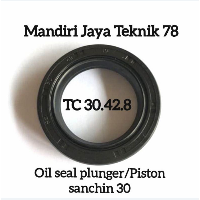 Jual Oil seal plunger pompa jet cleaner/piston scn 30 TC 30.42.7 ...