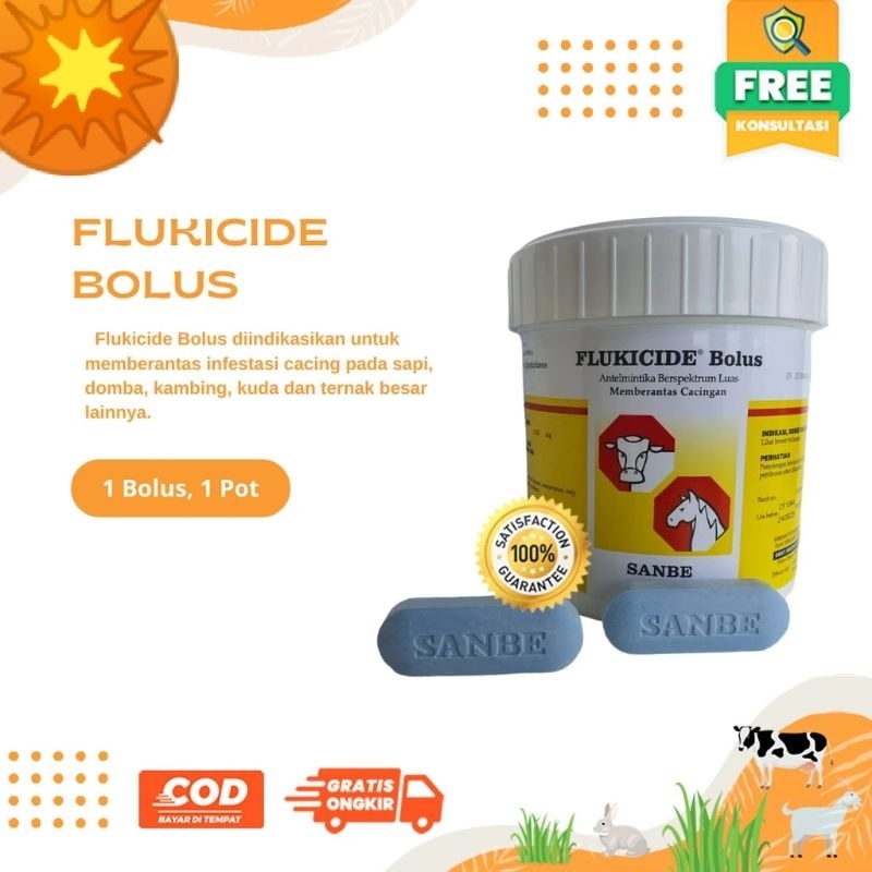 Jual FLUKICIDE 1 BOLUS obat cacing spektrum luas. harga per 1 Bolus ...