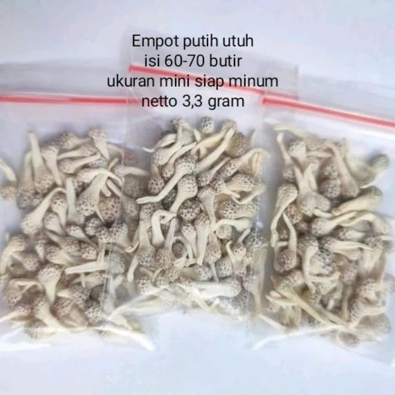 Jual izin Dinkes resmi Mpot empot ayam perawan putih original biang ...