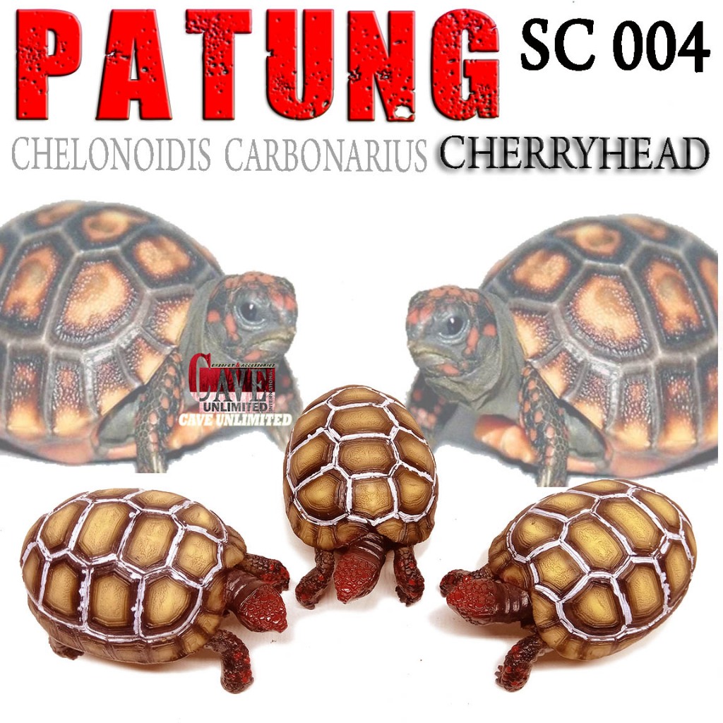 Jual SC004 REPLIKA PATUNG MINIATUR TORTOISE CHERRY HEAD CHELONOIDIS CARBONARIUS CH KURA KURA ...