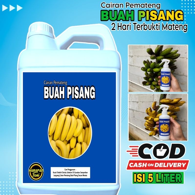 Jual OBAT PEMATENG BUAH PISANG | 2 HARI PISANG mateng Secara INSTAN ...