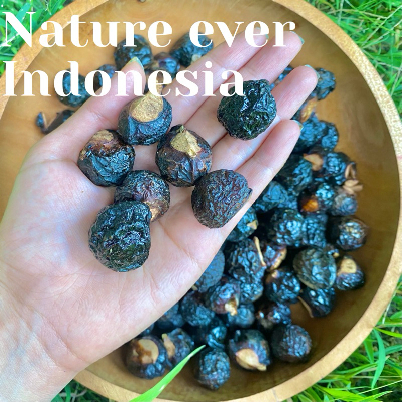 Jual NATURE EVER BUAH LERAK 1KG SABUN LERAK( LERAK DENGAN BIJI ...