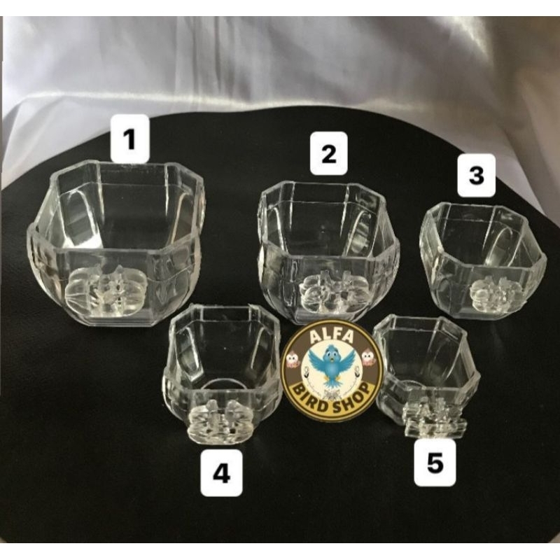 Jual CEPUK SEGI 8 ELITE | Shopee Indonesia