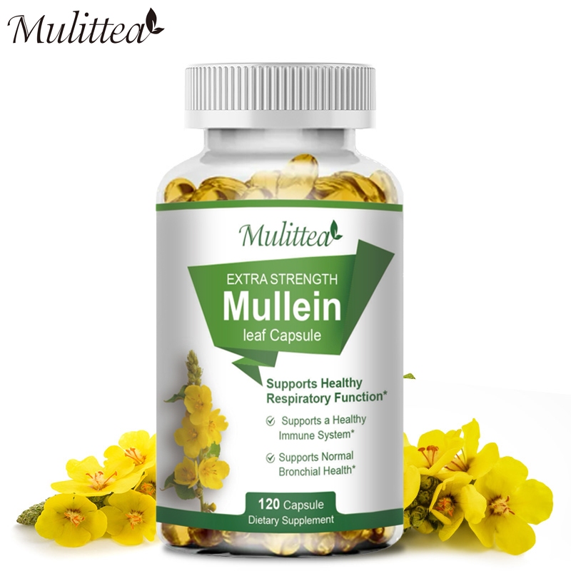 Jual Mulittea Natural Mullein Leaf Capsules Herbal Supplement for Lung ...
