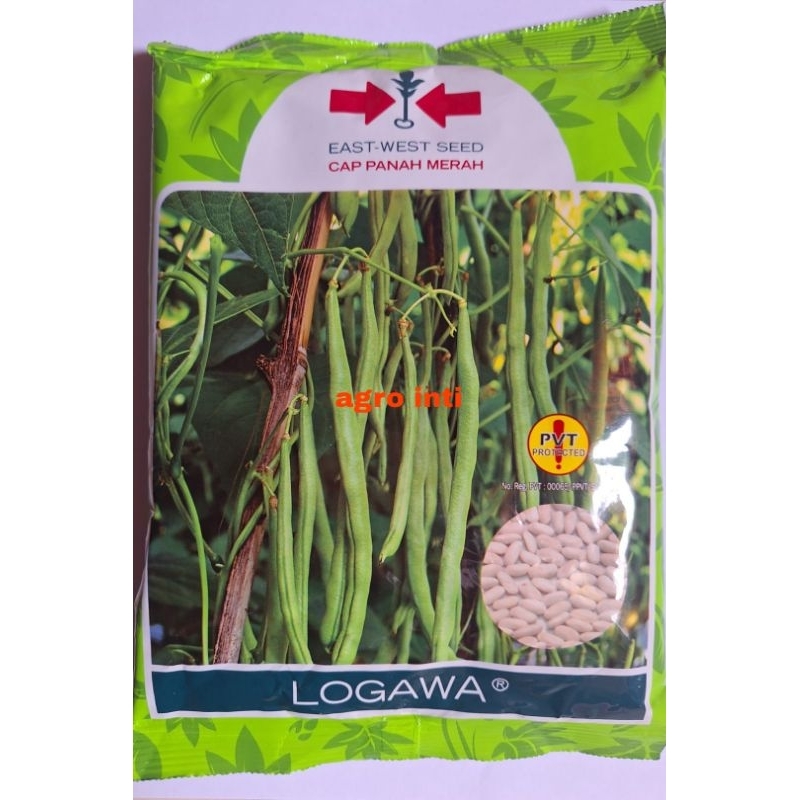 Jual Benih buncis LOGAWA isi 500gram cap Panah Merah | Shopee Indonesia