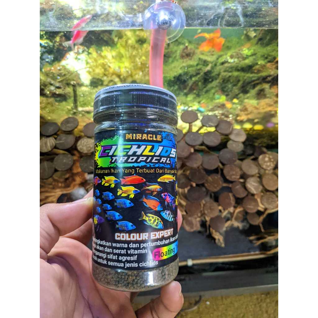 Jual PELET IKAN MIRACLE PUMP COLOR PERFOMANCE 75gr PAKAN CICHLID ...