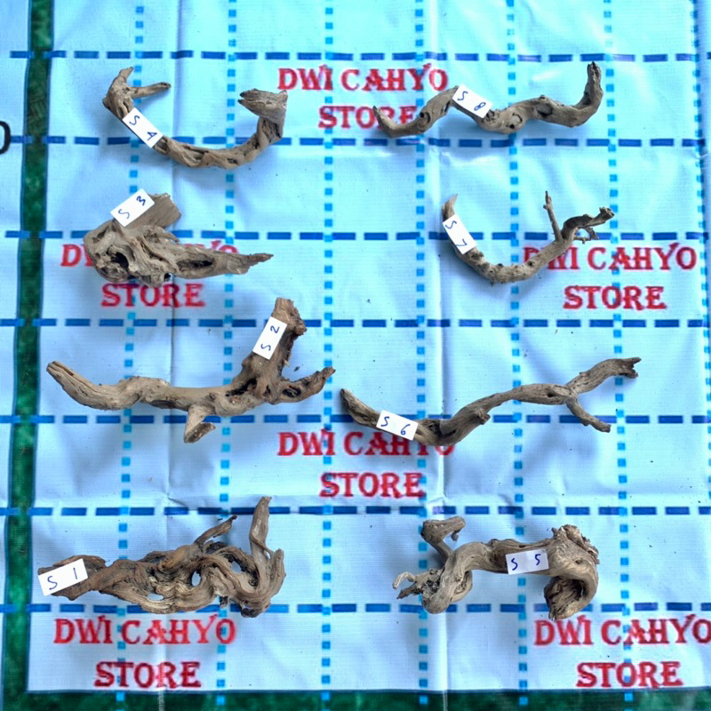 Jual KAYU AKAR SANTIGI / STIGI UKURAN S SPESIAL AQUASCAPE HIASAN ...