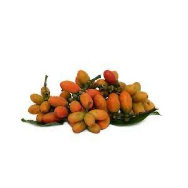 Jual Tangkil Melinjo Sayur Segar per 100 gr | Shopee Indonesia