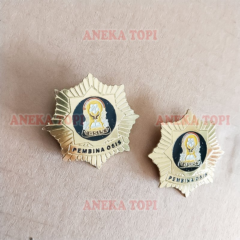 Jual Lencana Pin Pembina Osis Sekolah Bentuk Bintang Pin Bros Pembina ...