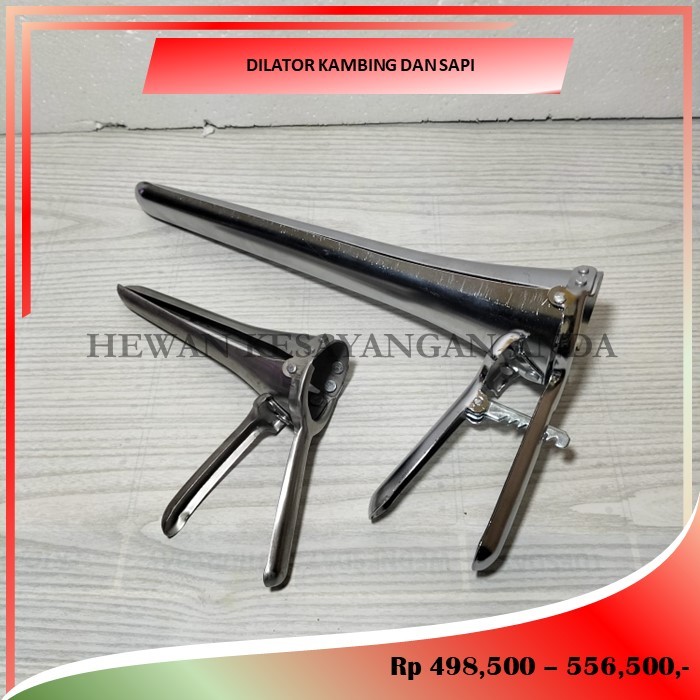 Jual Spekulum Domba Kambing Sapi Alat Inseminasi Buatan Spekulum Dilator Hewan Ternak | Shopee ...