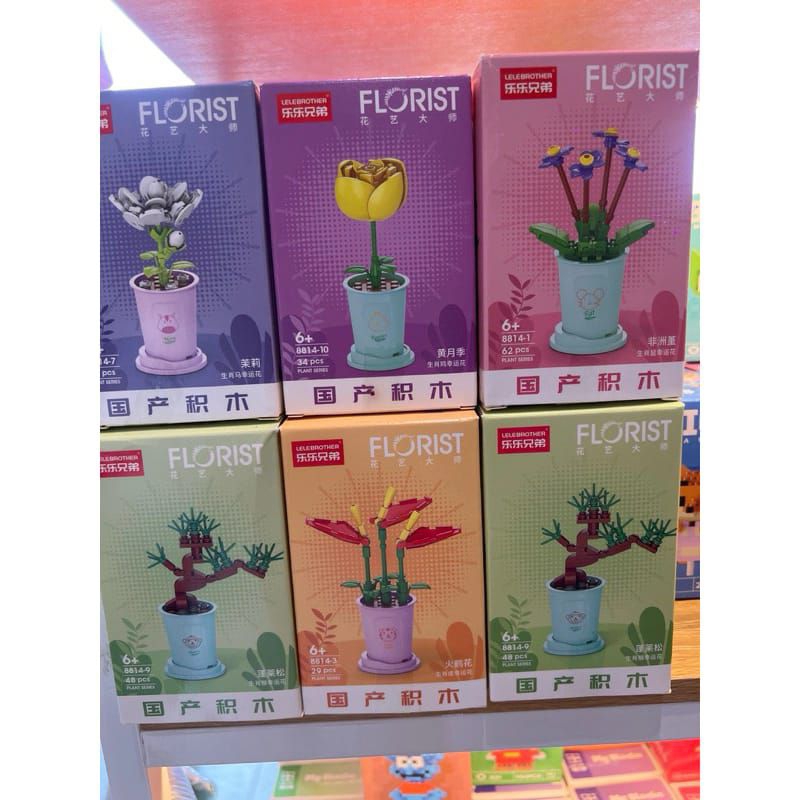 Jual Mainan Edukasi DIY Florist Tanaman Pot / Diy Balok Susun Pot Bunga ...