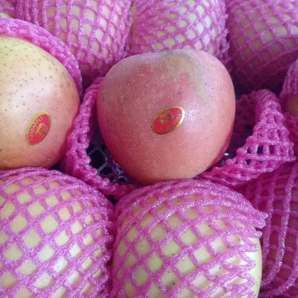 Jual Buah Apel fuji premium /Grade A | Shopee Indonesia
