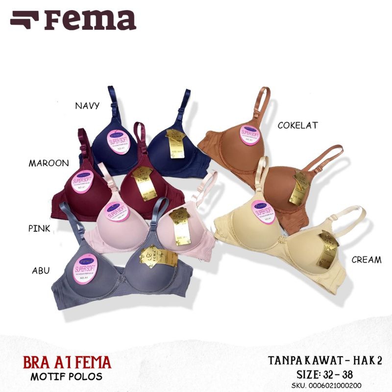 Jual BRA FEMA KAIT 2 BH CUP A ukuran 34 - 40 BUSA SEDANG | Shopee Indonesia