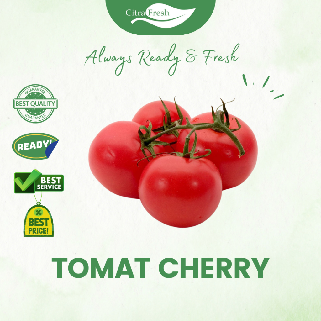 Jual CITRA FRESH - Tomat Cherry 500 Gram - Selalu Ready dan Fresh ...