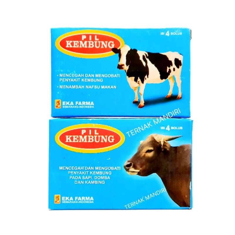 Jual PIL KEMBUNG EKA FARMA ISI 4BOLUS Obat kembung sapi kambing domba ...