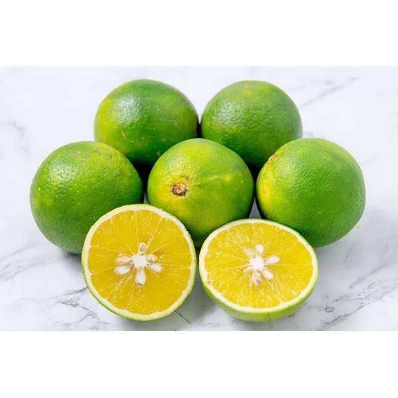 Jual Jeruk Baby Pacitan | Shopee Indonesia