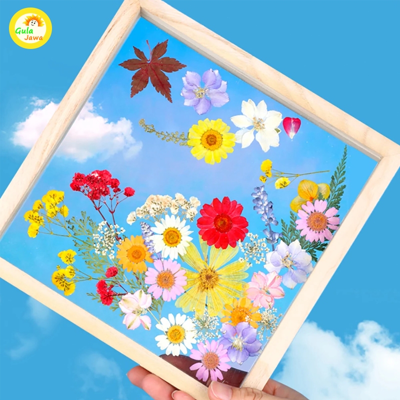 Jual Bunga Kering Asli Set/Pressed Flower Mixed Natural Dried Flowers ...