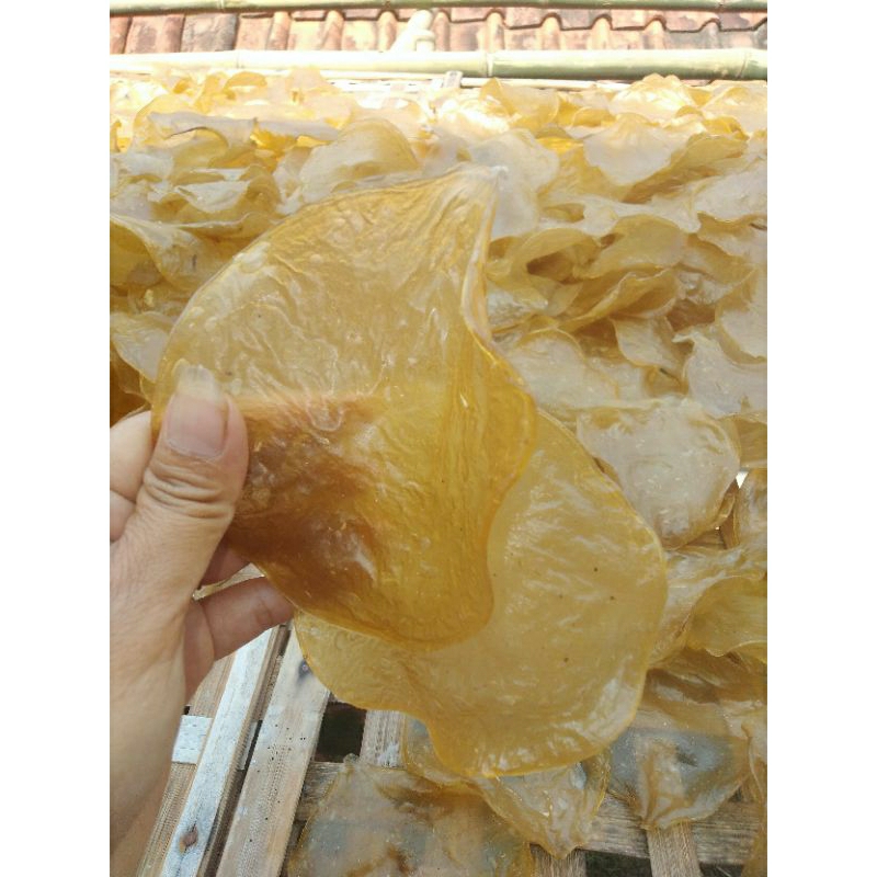 Jual kerupuk elod tebal/keripik kaca kecimpring khas bandung | Shopee ...