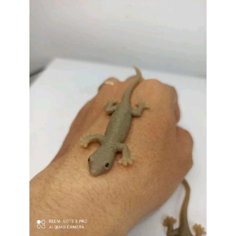 Jual mainan karet cicak keras untuk jahil | Shopee Indonesia