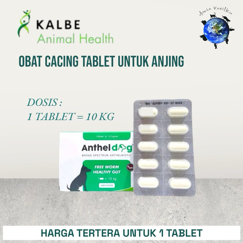 Jual Anthel Dog Kalbe Farma Obat Cacing Anjing (1 Tablet) | Shopee ...