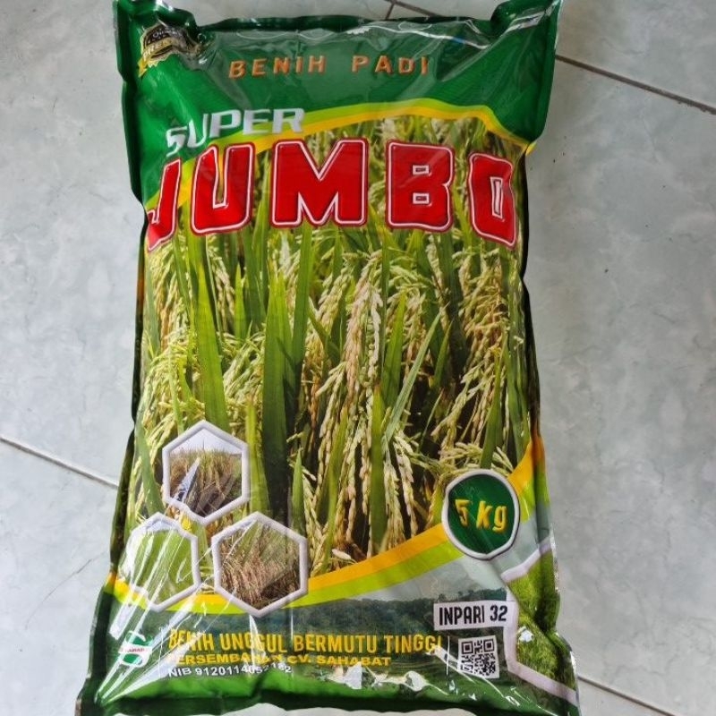 Jual Benih Padi Inpari 32 Jumbo 5kg | Shopee Indonesia