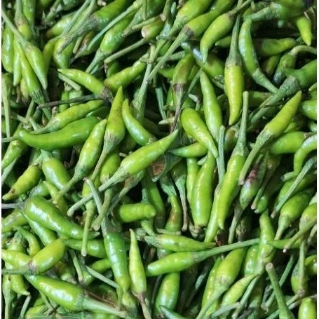 Jual Cabe Rawit Ijo 100gr | Shopee Indonesia