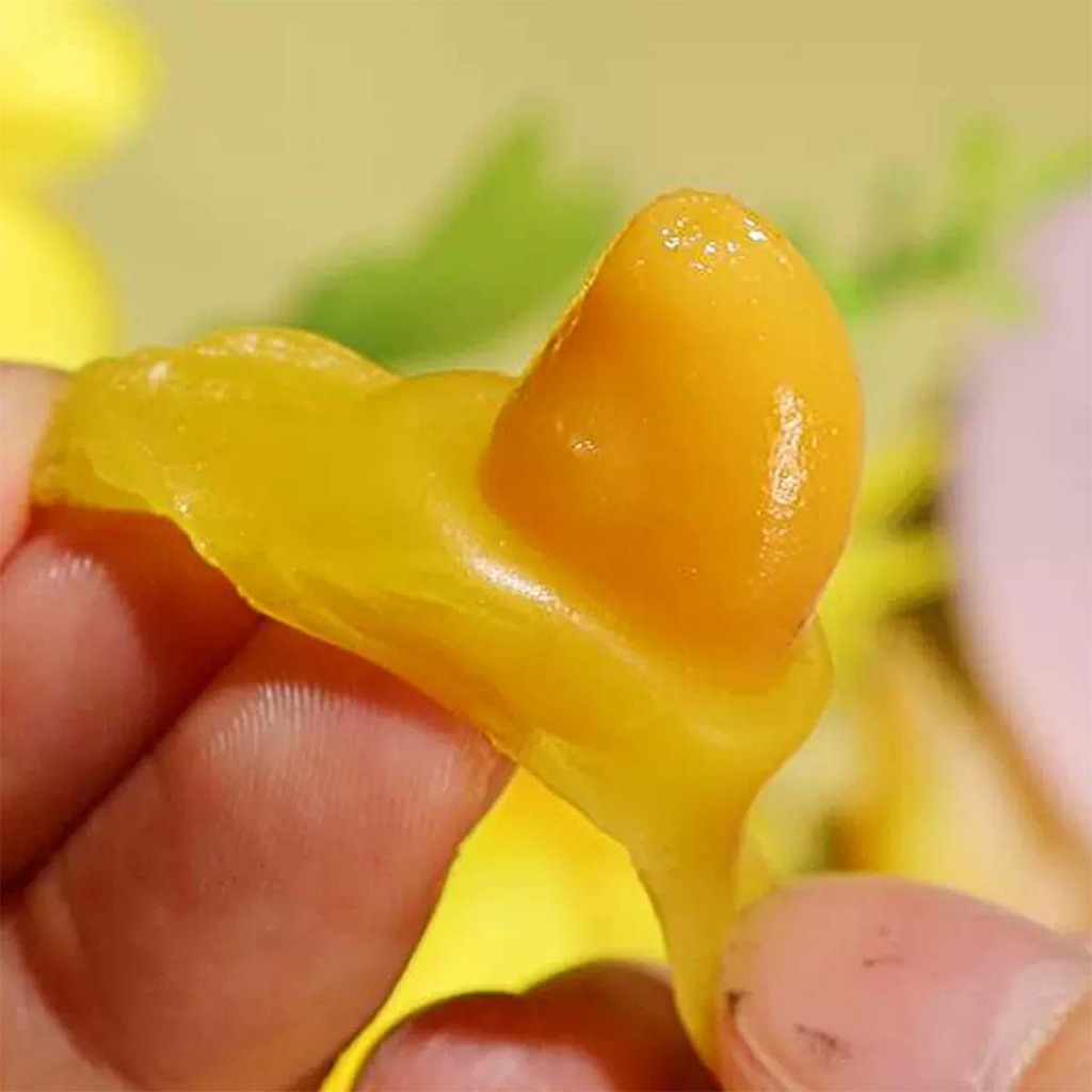 Jual Snack Master - [Konjac package] Konjac Snack Spicy and Sweet Halal ...