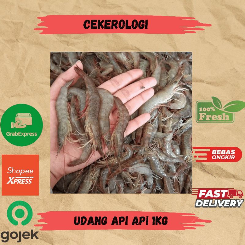 Jual Udang Api Api 1kg / Udang Api / Udang Api Fresh Berkualitas ...