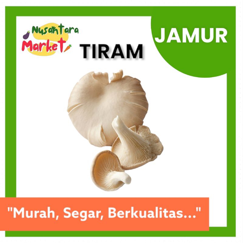Jual Jamur Tiram Terlengkap & Harga Terbaru Juni 2026 | Shopee Indonesia