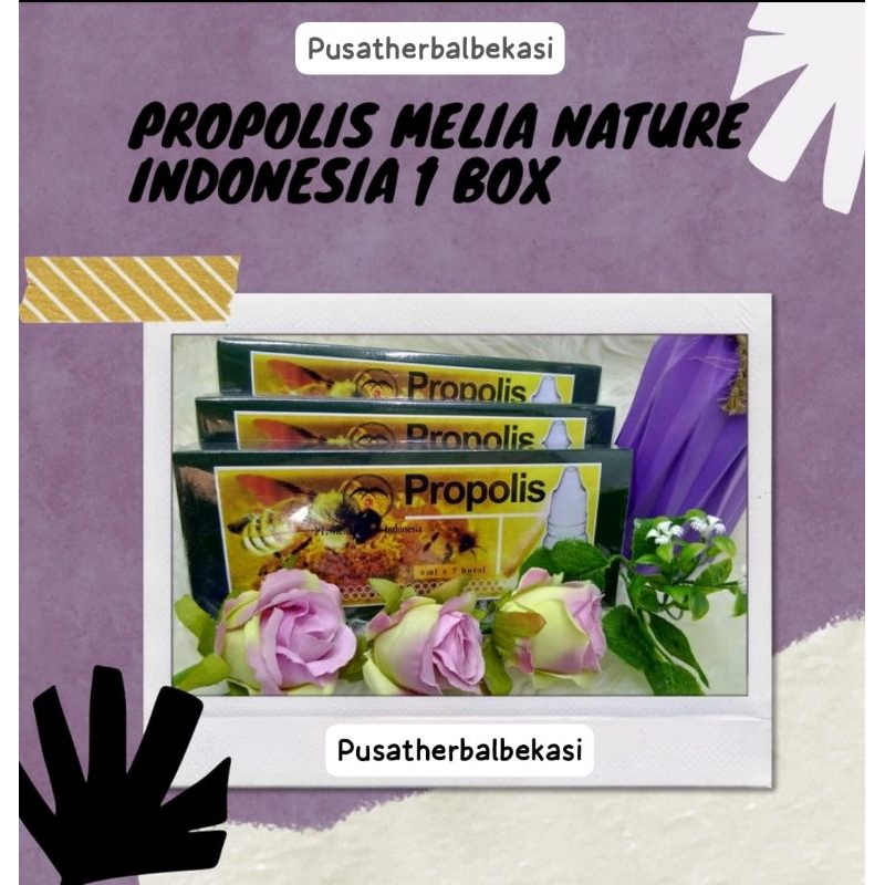 Jual Propolis Melia Nature Indonesia 1 box isi 7 botol | Shopee Indonesia