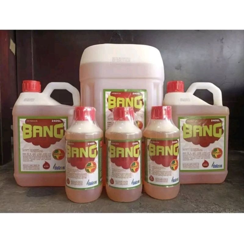 Jual Racun rumput HERBISIDA BANG 240SL kemasan dirigen 20L | Shopee ...