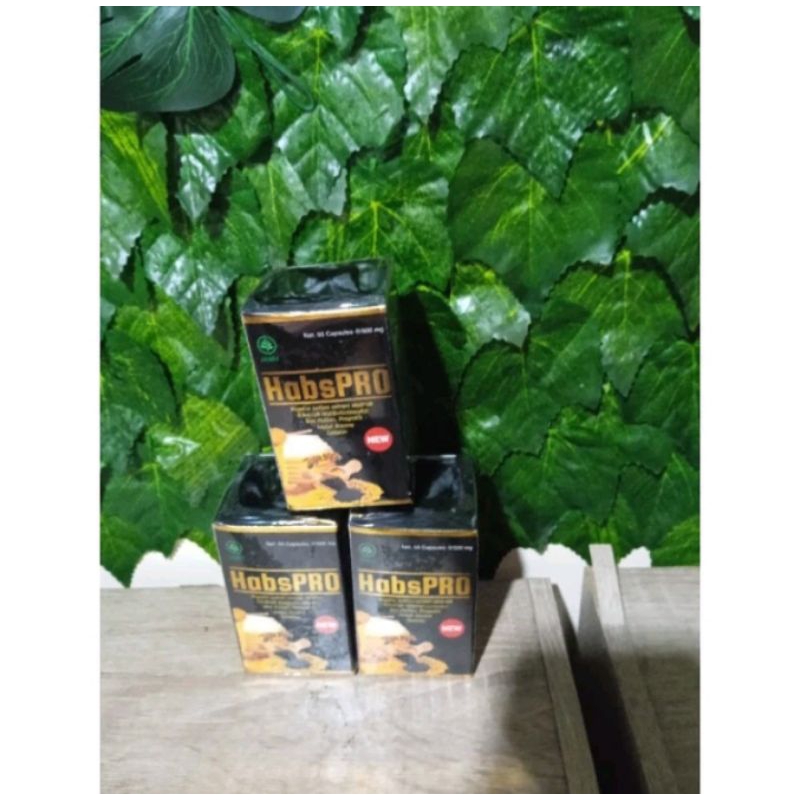 Jual HabsPro Habbatassauda (PAKET 4 BOX) 100% Original 1 Box Isi 55 ...