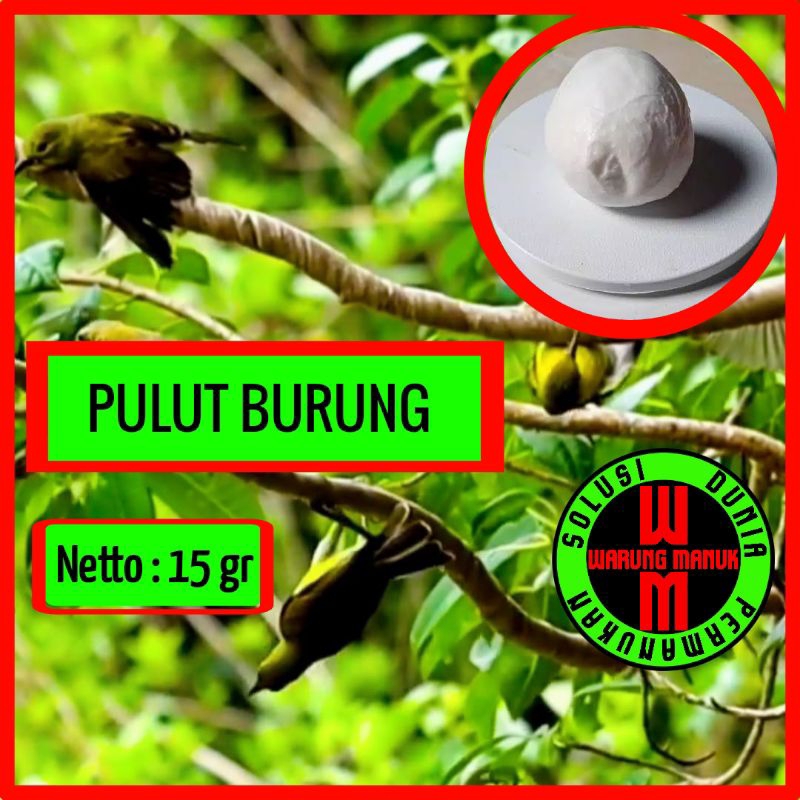 Jual Lem pulut burung 15 gram lem pulut getah karet lem pulut getah ...