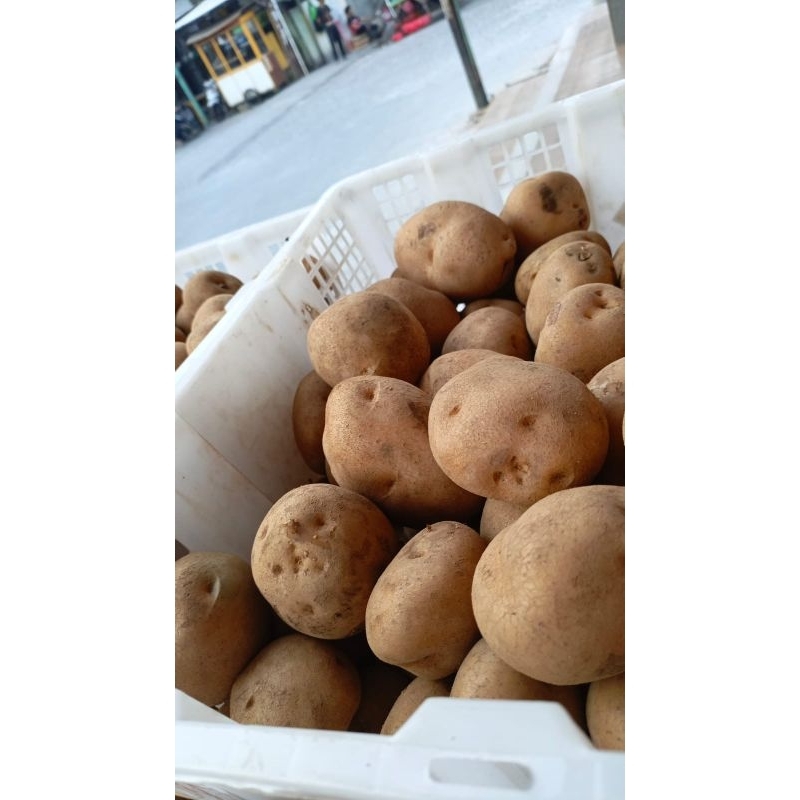 Jual kentang Dieng asli 22.000/1kg | Shopee Indonesia