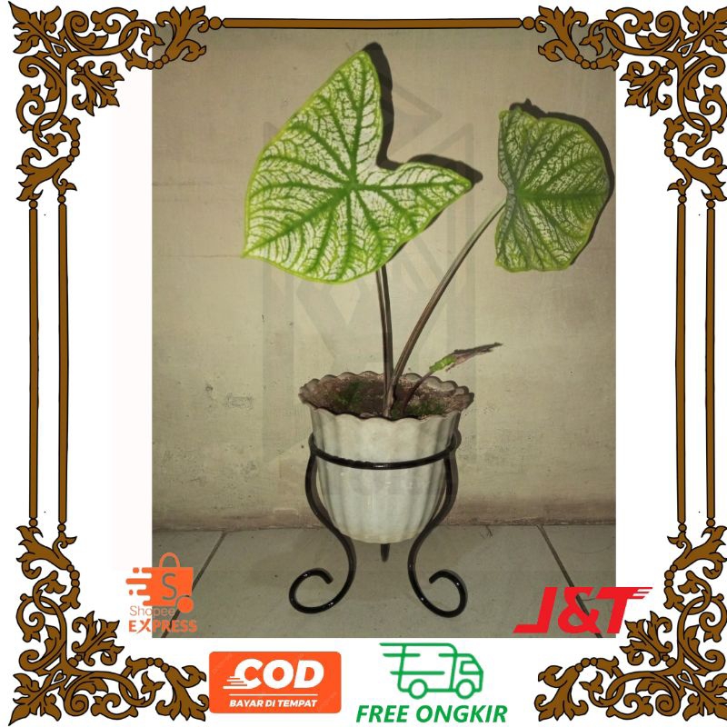 Jual Standing Pot besi/ Rak Bunga besi unik Diameter 14.5 | Shopee ...