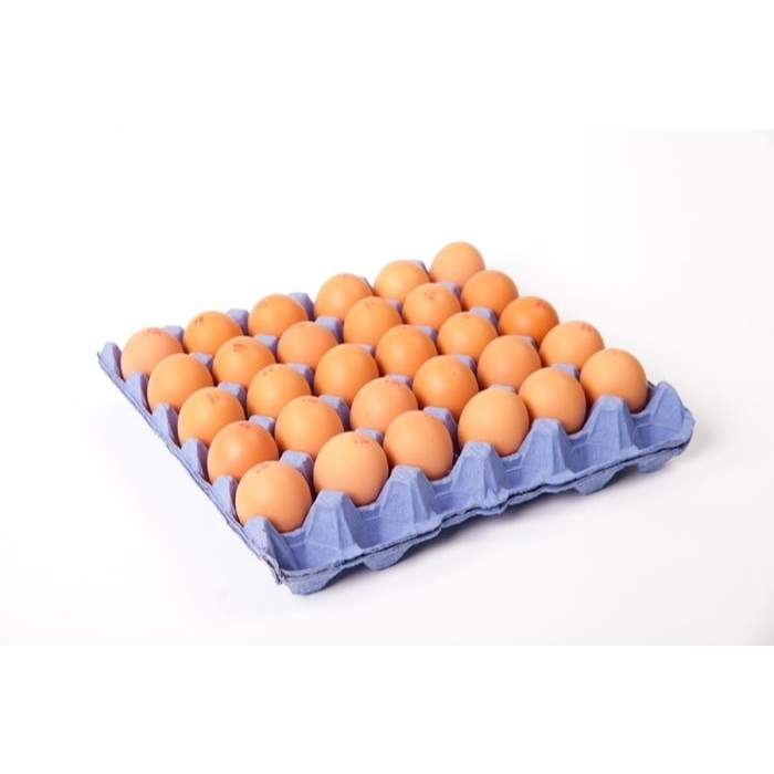 Jual Telur Ayam Negeri Fresh - Isi 30 Butir (1 Rak) | Shopee Indonesia