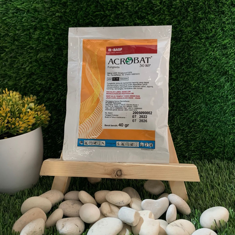 Jual [KEMASAN BARU] ACROBAT 50WP 40gr - Fungisida | Shopee Indonesia