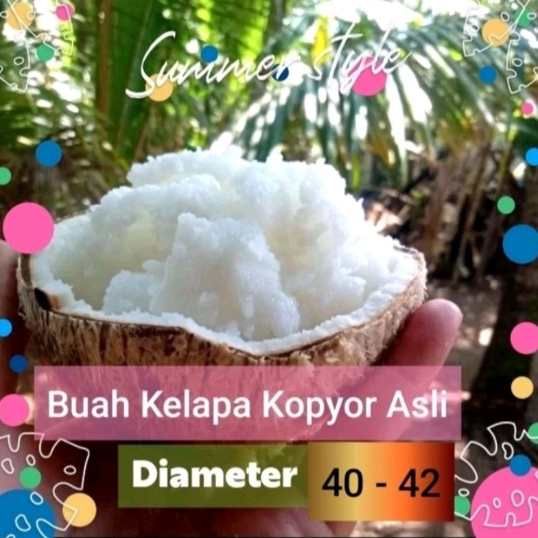Jual kelapa kopyor asli 100 % genjah murah size 40 - 44 cm | Shopee ...