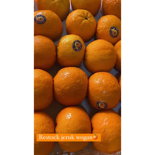 Jual Jeruk Wogan Terlengkap & Harga Terbaru September 2025 | Shopee ...