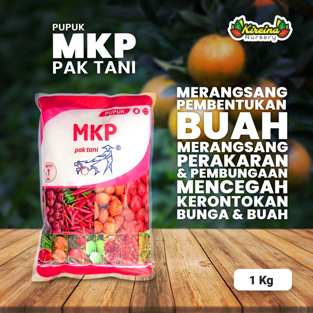 Jual Pupuk MKP Pak Tani 1 Kg - Pupuk Untuk Mempercepat Pertumbuhan Akar ...