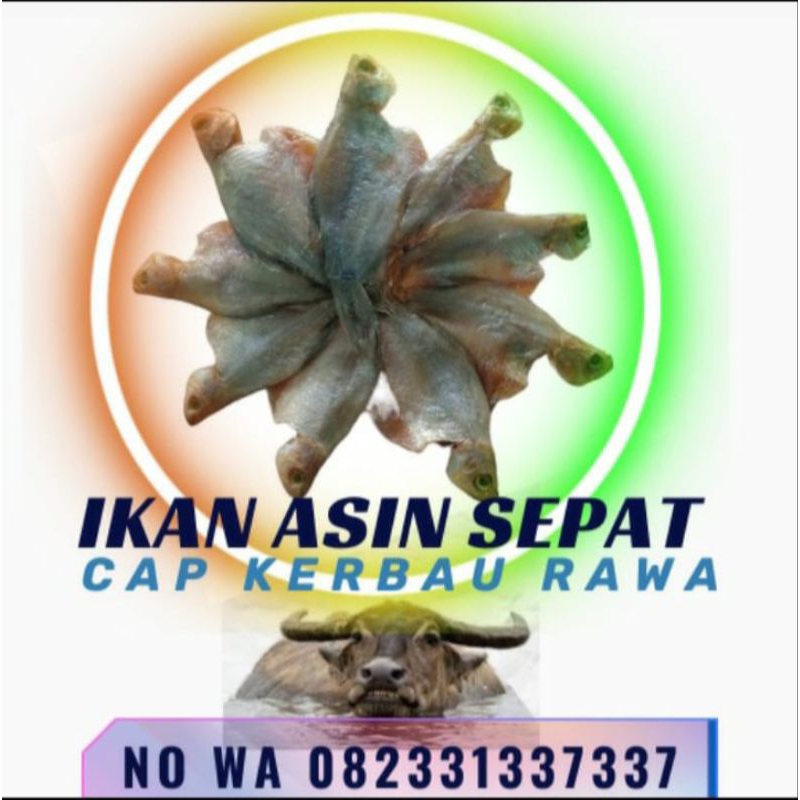 Jual ikan asin sepat rawa,baru kemasa 250gr (ASAL KALIMANTAN) | Shopee ...