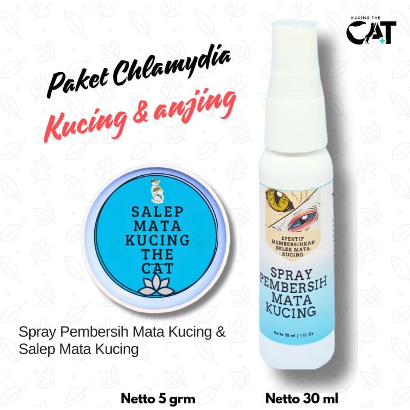 Jual Paket Clamidia Kucing The Cat - Salep Mata Kucing & Pembersih Mata ...